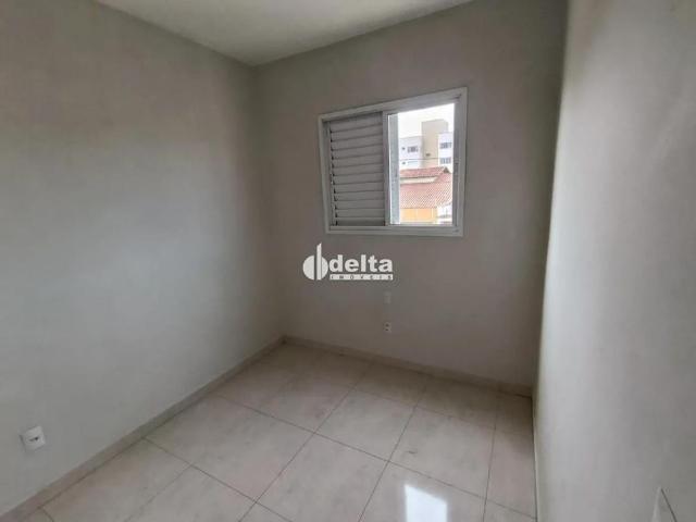 Apartamento Com 2 Quartos Sendo 1 Suíte Disponível Para Locação No Bairro Santa Mônica Em Uberlândia