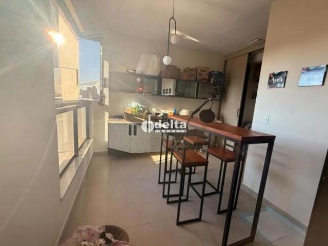 Apartamento com 2 quartos sendo 1 suite para venda no bairro Cazeca em Uberlândia MG