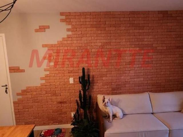 Apartamento com 2 quartos