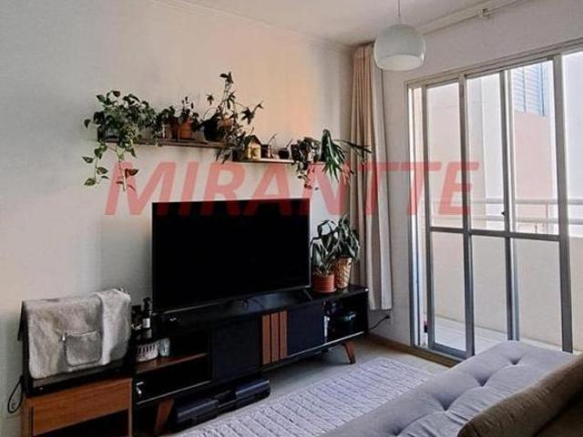 Apartamento de 50m² com 2 quartos