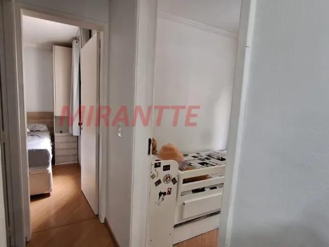 Apartamento de 50m² com 2 quartos em Vila Amelia