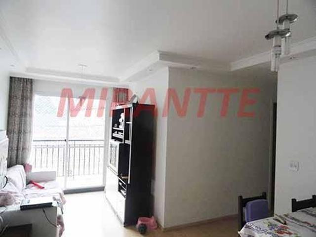 Apartamento de 50m² com 3 quartos