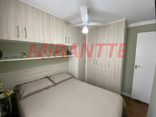 Apartamento de 50m² com 2 quartos em Parque Novo Mundo
