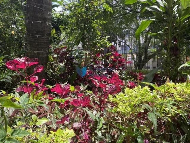 Apartamento de 68m² com 2 dormitórios e vaga no bairro Higienópolis