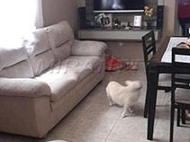 Apartamento de 68m² com 2 quartos