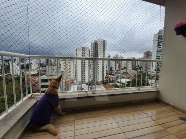 Apartamento de 70 mts², 3 quartos 1 suíte, 2 vagas, em Santa Teresinha