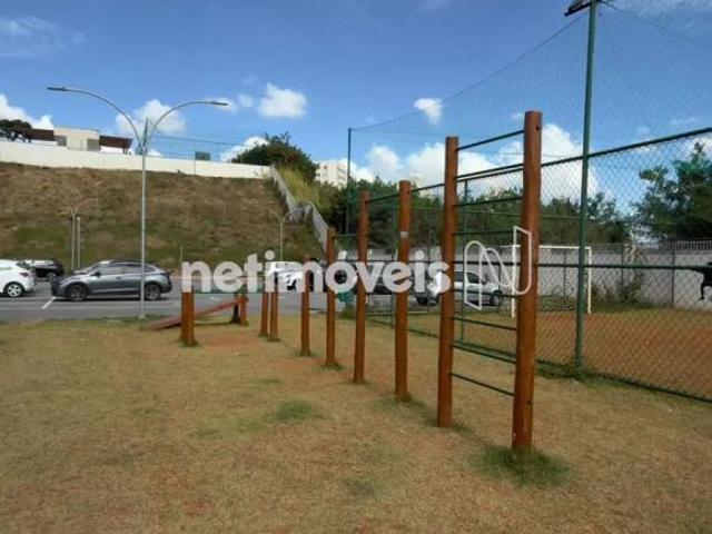 Apartamento de 03 quartos com elevador e lazer no Palmeiras!