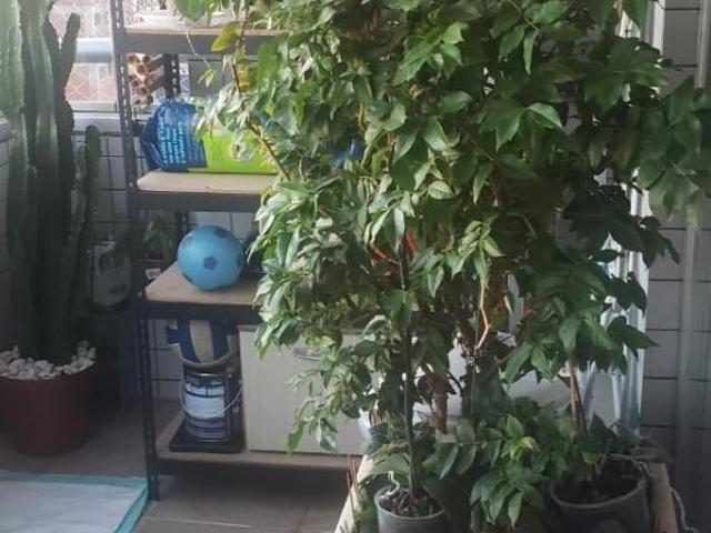Apartamento de 117 m², 3 quartos em Centro, Osasco