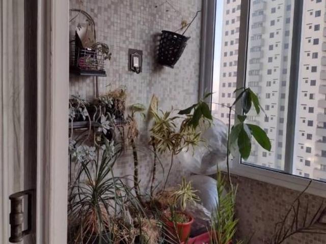 Apartamento de 2 quartos com suíte em Santa Cecília