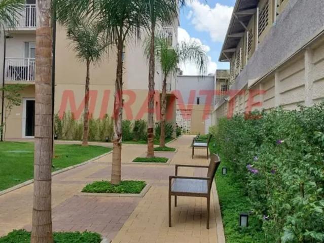Apartamento de 35m² com 2 quartos em Vila Guilherme