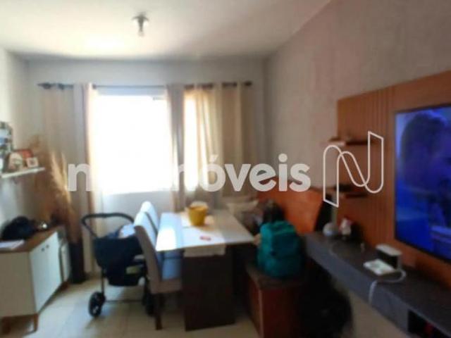 Apartamento de 3 Quartos no Planalto Localização Privilegiada!