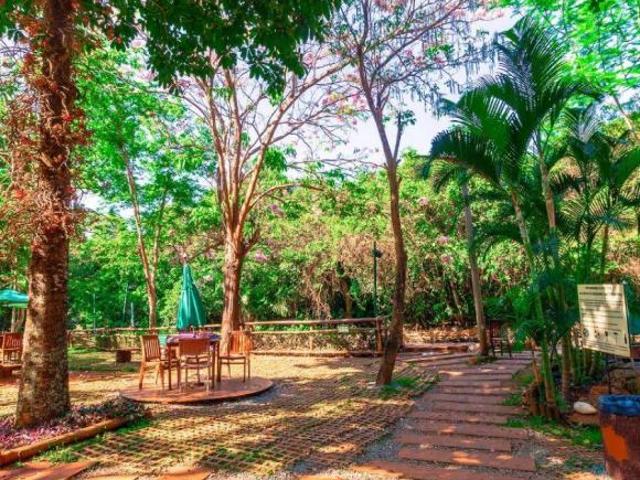 APARTAMENTO DE FRENTE A PISCINA NO THERMAS PARADISE QUARTO ANDAR