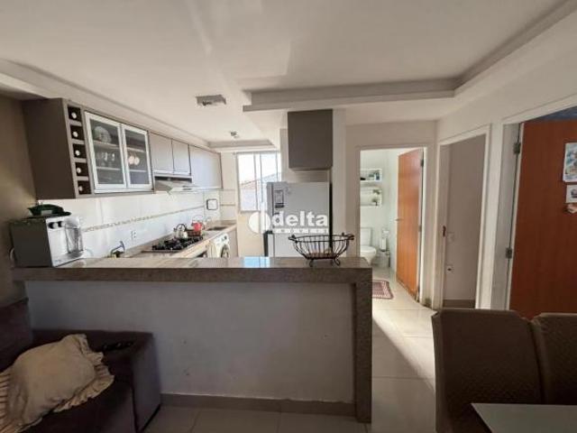Apartamento disponível para venda no bairro Mansour em Uberlândia MG
