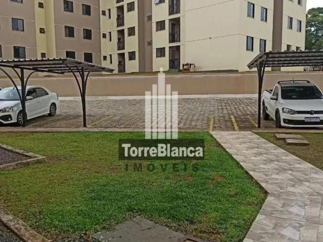 Apartamento em Uvaranas, Ponta Grossa/PR de 66m² 3 quartos à venda por R$ 350.000,00