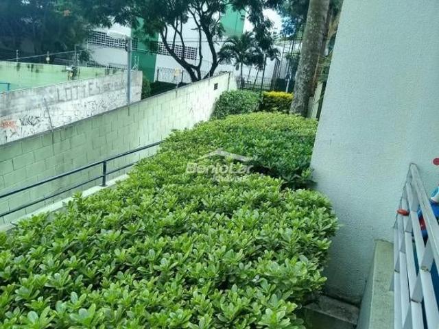 Apartamento em Vila Amélia, São Paulo/SP de 58m² 2 quartos à venda por R$ 300.000,00