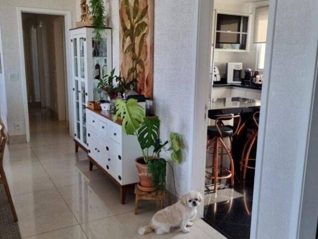 Apartamento em Vila Santo Estevão, São Paulo/SP de 144m² 3 quartos à venda por R$ 1.989.900,00