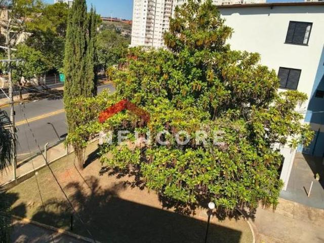 Apartamento em Avenida Orlando Ranieri Jardim Marambá Bauru/SP