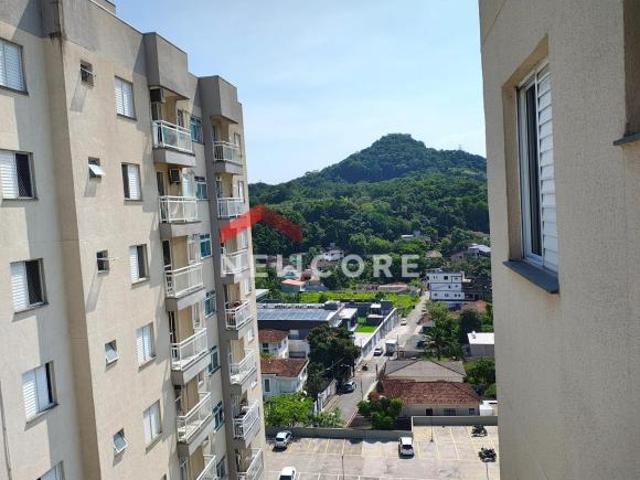 Apartamento em Avenida Prefeito Doutor Antônio Manoel de Carvalho Morro Nova Cintra Santos/SP
