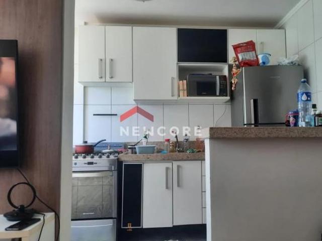 Apartamento em Avenida São José dos Campos Jardim Nova Europa Campinas/SP