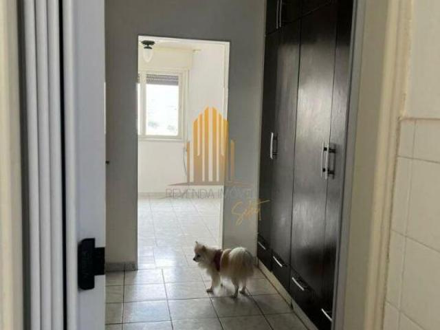 Apartamento em Cambuci, São Paulo/SP de 98m² 3 quartos à venda por R$ 429.000,00