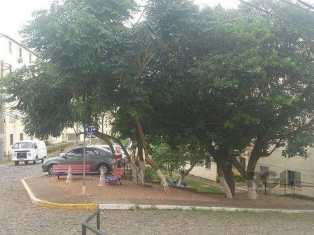 Apartamento em Campo Novo