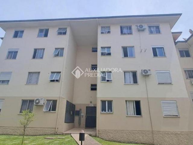 apartamento em canela com 2 dormitórios