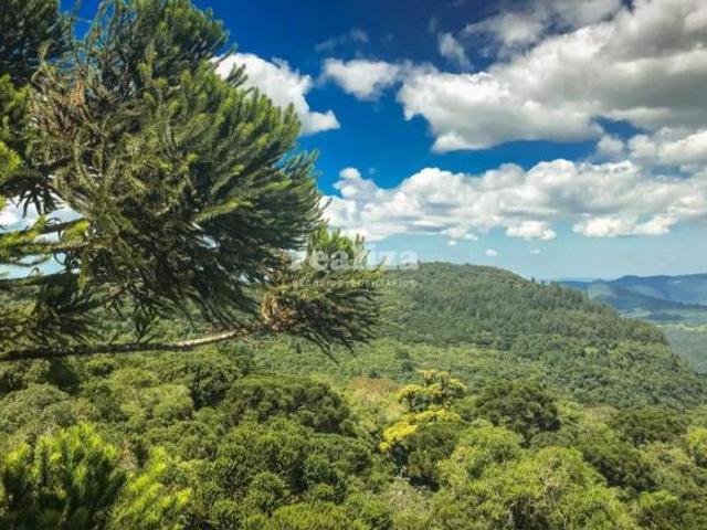 APARTAMENTO EM CANELA NO QUINTA DA SERRA