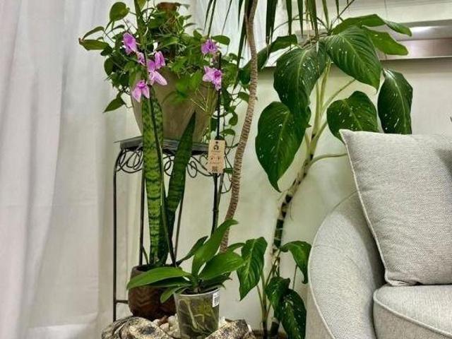 Apartamento em Centro, São Vicente/SP de 50m² 1 quartos à venda por R$ 270.000,00