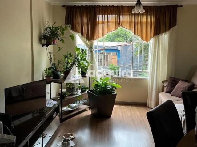 Apartamento em Centro, Ponta Grossa/PR de 65m² 3 quartos à venda por R$ 230.000,00