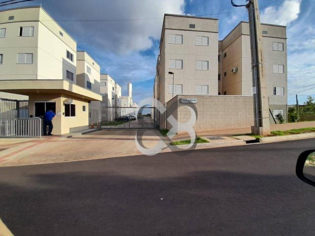 Apartamento em Conjunto Semiramis Barros Braga, Londrina/PR de 50m² 2 quartos à venda por R$ 128.900,00