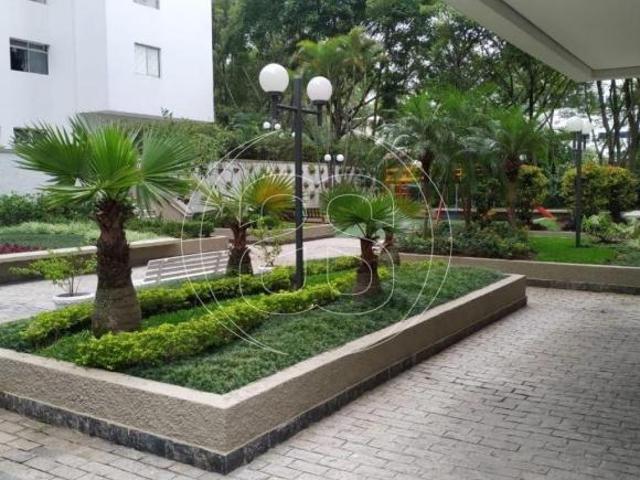 Apartamento em interlagos