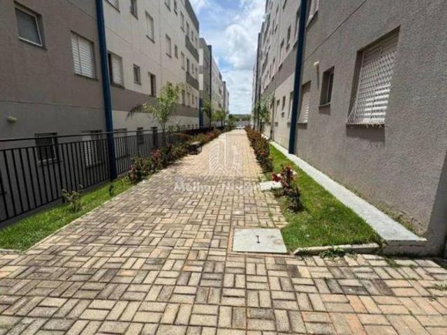 Apartamento em Jardim dos Ipês, Sumaré/SP de 40m² 2 quartos à venda por R$ 20.000,00