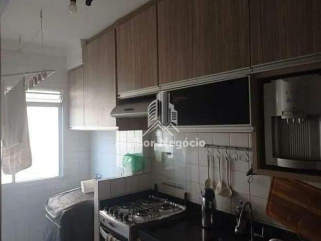 Apartamento em Jardim Santa Terezinha Nova Veneza, Sumaré/SP de 88m² 2 quartos à venda por R$ 240
