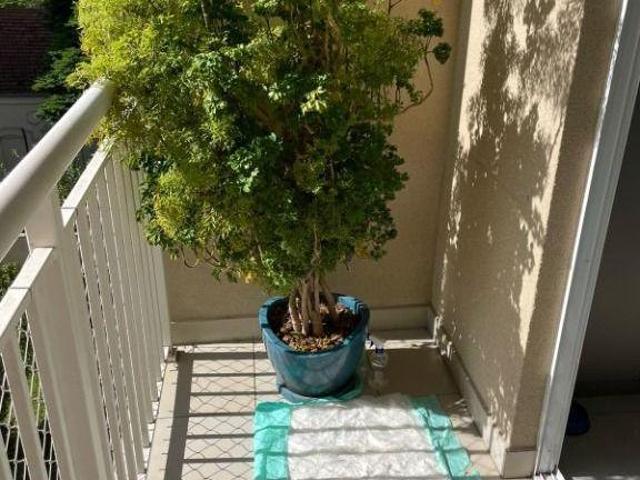 Apartamento em Liberdade, São Paulo/SP de 0m² 1 quartos à venda por R$ 350.000,00