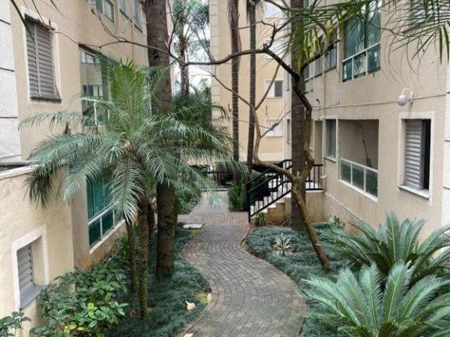 Apartamento em Paraisópolis, São Paulo/SP de 65m² 3 quartos à venda por R$ 320.000,00
