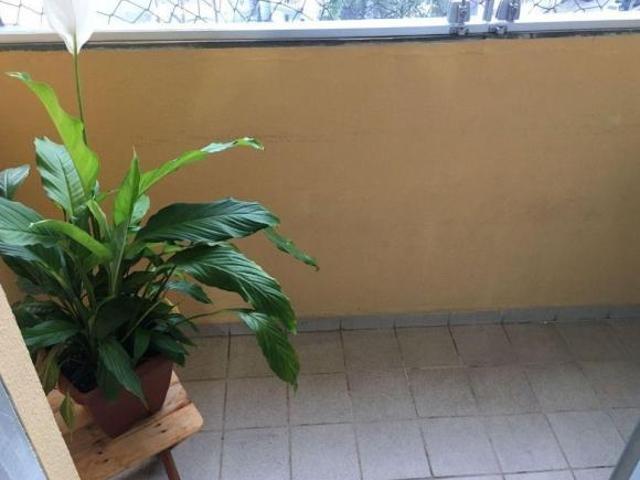 Apartamento em Rio Pequeno, São Paulo/SP de 55m² 2 quartos à venda por R$ 320.000,00