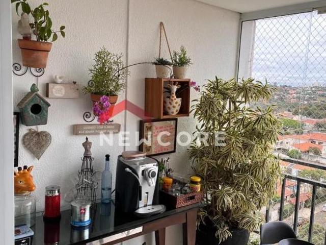 Apartamento em Rua Baronesa Geraldo de Resende Taquaral Campinas/SP