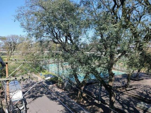 Apartamento em Rua General Salustiano Centro Histórico Porto Alegre/RS