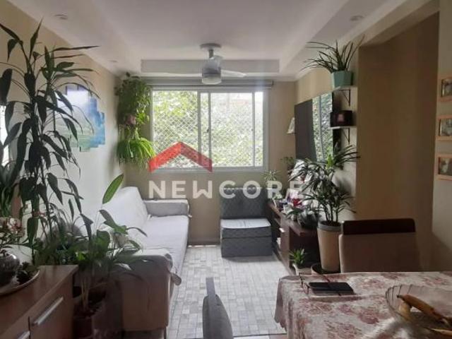 Apartamento em Rua Dona Ana Neri Cambuci São Paulo/SP
