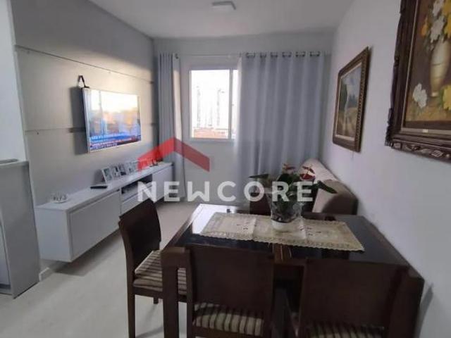 Apartamento em Rua Intendência Brás São Paulo/SP