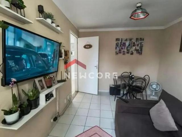 Apartamento em Rua Madre Tereza de Calcutá Jardim Santa Lúcia Campinas/SP