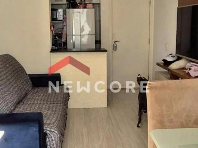 Apartamento em Rua Santa Catarina Tatuapé São Paulo/SP
