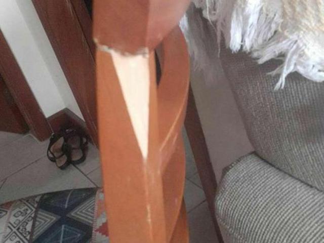 Apartamento em Rua Paes de Andrade Menino Deus Porto Alegre/RS