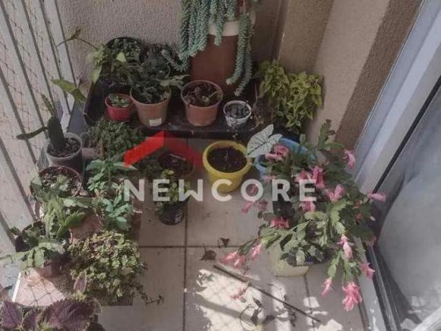 Apartamento em Rua Professora Odila Bento Jardim Santa Cristina Santo André/SP