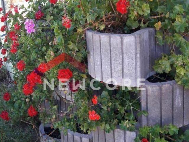 Apartamento em Rua Tissot Várzea Grande Gramado/RS