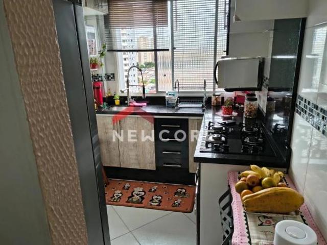 Apartamento em Rua Vigília Vila Buenos Aires São Paulo/SP