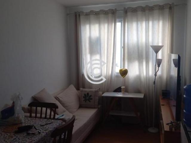 Apartamento, Fundação da Casa Popular, Campinas, SP