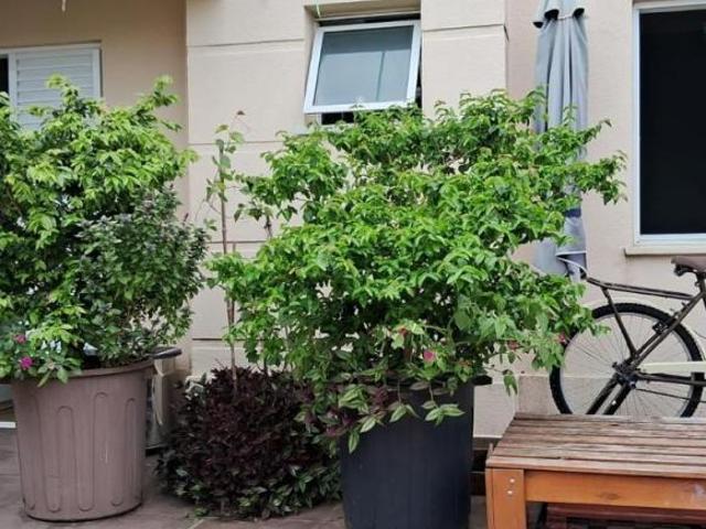 Apartamento Garden com 03 dormitórios á venda, 178 m² no bairro Cerâmica São Caetano do Sul/SP