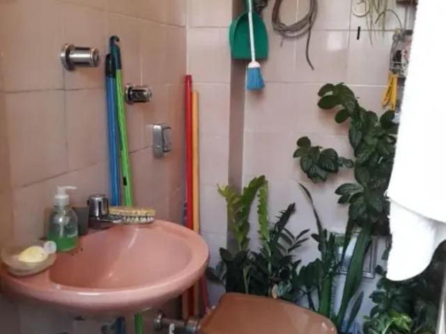 Apartamento higienópolis sp