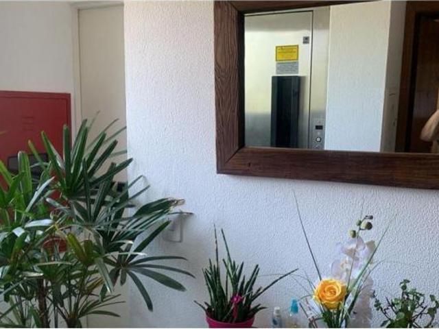 Apartamento, Higienópolis, Porto Alegre, RS